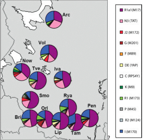 North Russian genes - Stormfront