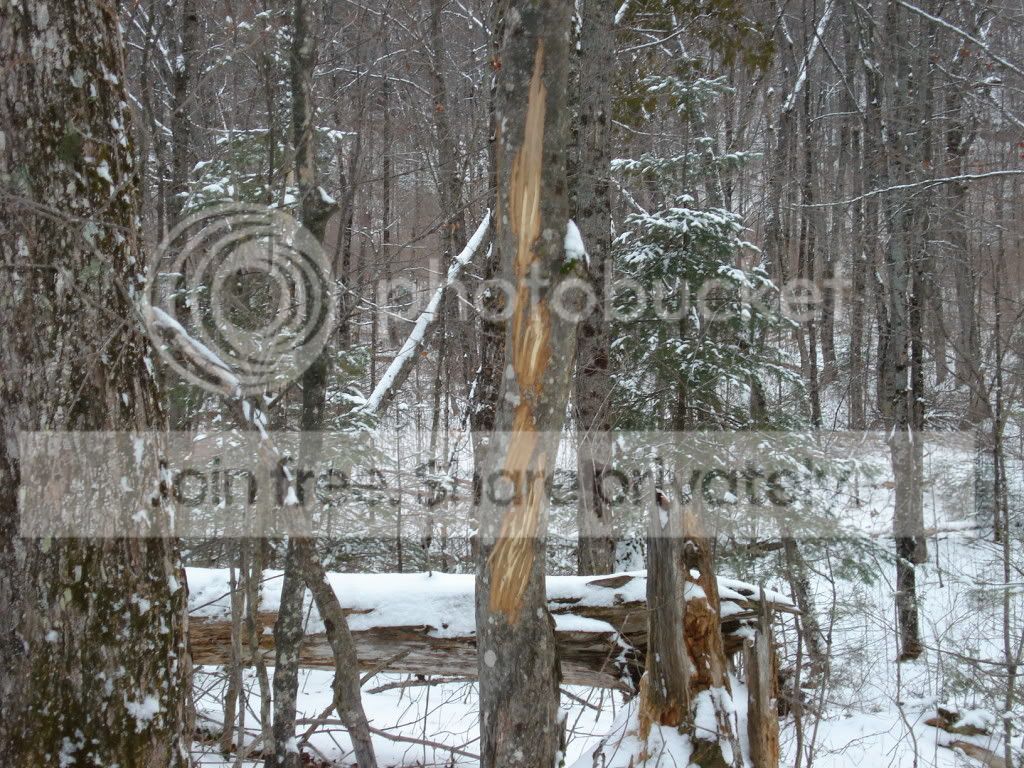 Ontario Bush - Hunting Beast™ / The Hunting Beast™