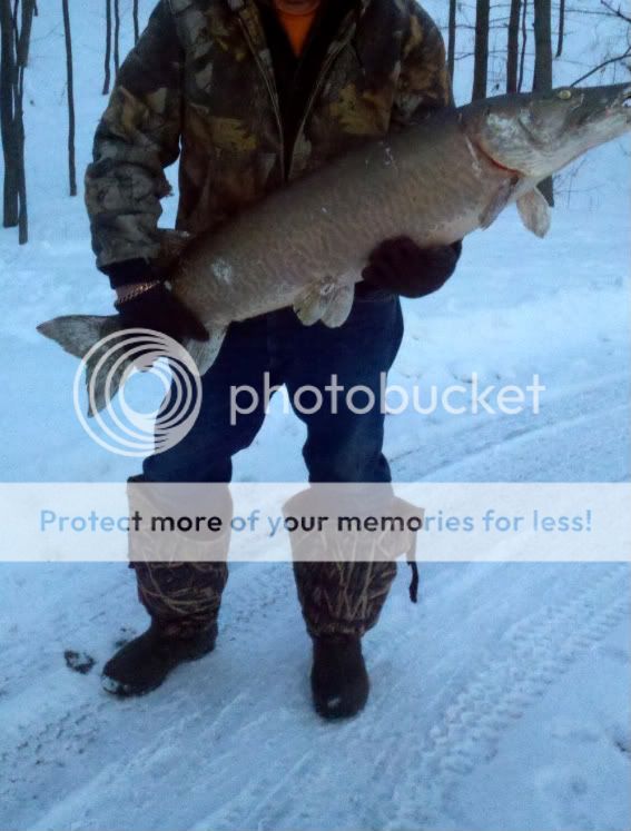 New State Record Muskie - The Hunting Beast